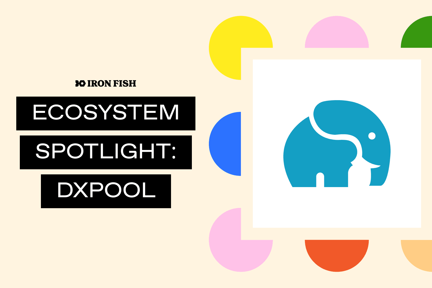 Ecosystem Spotlight: DxPool Mining Pool | Iron Fish Blog